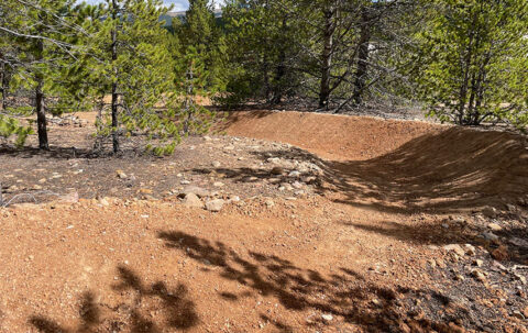 Swamp Angel - One Track Mind Foundation