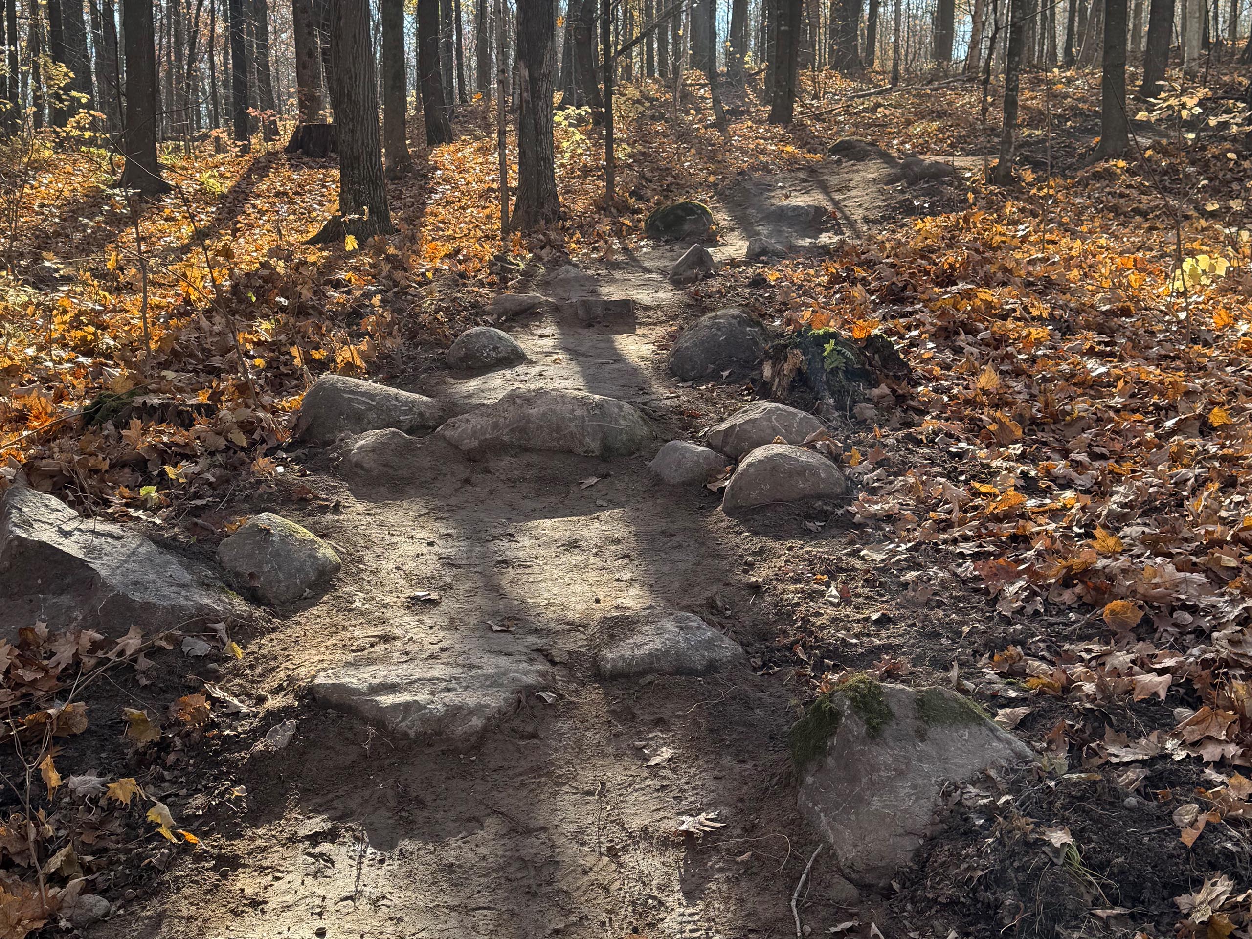 How a Ski Forest Became One of Wisconsin’s Best Mountain Biking ...
